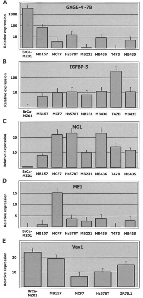 Verification Of Gene Expression Differences Between MCB Ductal Breast Download Scientific