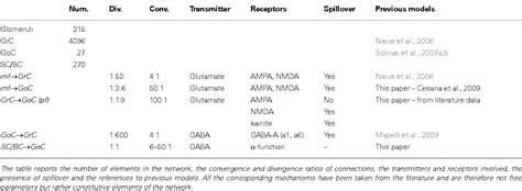 Table 1 From A Realistic Large Scale Model Of The Cerebellum Granular