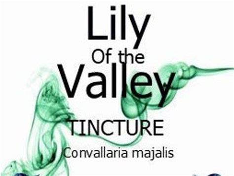 Lily Of The Valley Tincture Convallaria Majalis 50ml Etsy Uk Lily