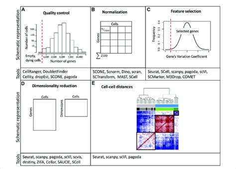 overview of common data processing steps with examples of relevant