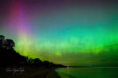 Aurora Album On Imgur