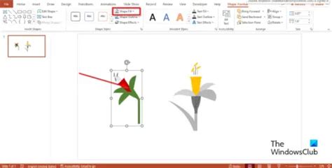 How To Change Color Of Part Of A Picture In PowerPoint