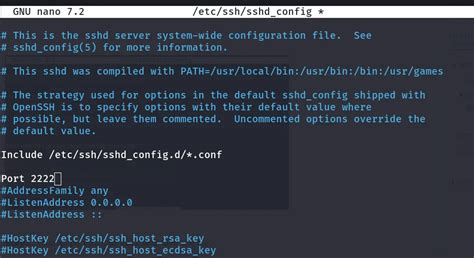ssh penetration testing port 22