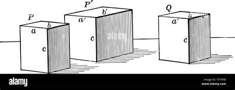 The Image Shows Parallel Rectangular Prisms In A Rectangular Cuboid All Angles Are Right
