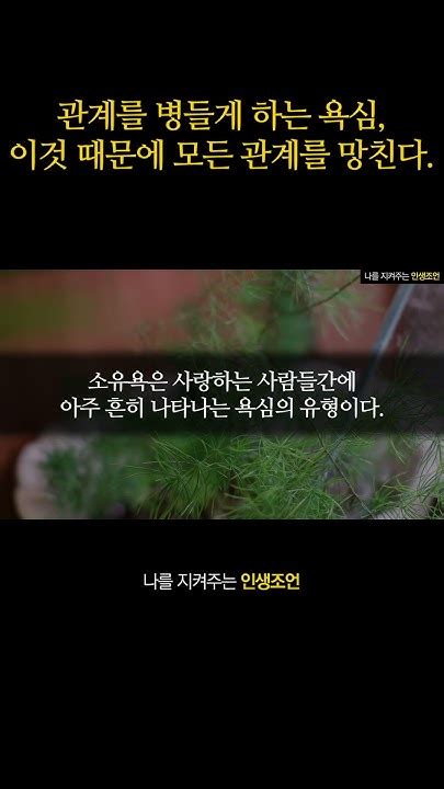 관계를 병들게 하는 욕심 이것 때문에 모든 관계를 망친다 인생조언 삶의지혜 인생명언 오디오북 인간관계 좋은글 자기계발 Youtube