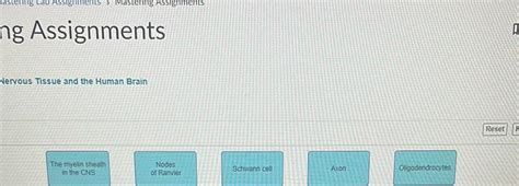 Answered Tering Lab Assignments Mastering Assignments Ng Assignments
