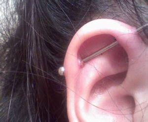 Industrial Piercings Guide And Images Authoritytattoo