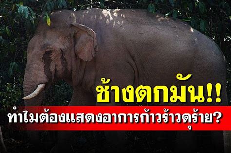 ต่างอารมณ์กันสุดๆ รวมสารพัดเรื่องราว และ นานาสาระ