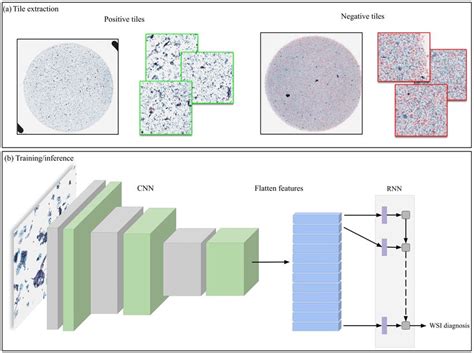 Method Overview A Large 1024 × 1024 Are Extracted From The Wsis For Download Scientific