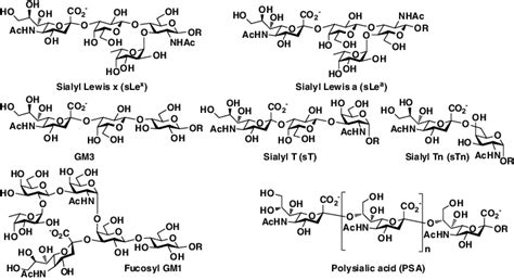 Representative Sialic Acid Containing Tumor Associated Carbohydrate