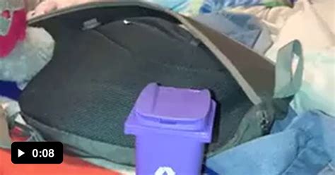 9gag Comment Section 9GAG