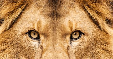 Solving The Uk Fraud Problem Fti