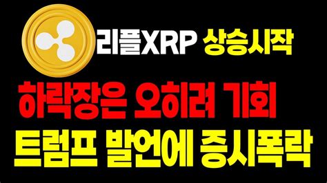 리플 전망 엑스알피 상승시작 하락장은 항상 기회였습니다 트럼프 발언에 증시 폭락 리플코인대응 엑스알피 리플 Xrp Sec 리플소송 갈링하우스 트럼프