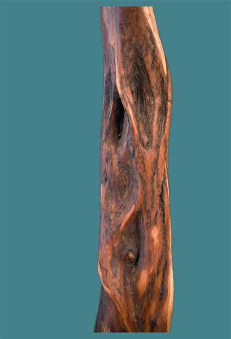 Raw Diamond Willow For Walking Hiking Stick And Woodworking Projects Boreal Blue