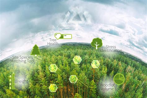 Precision Forestry Geospatial Forestry Platform Swift Geospatial