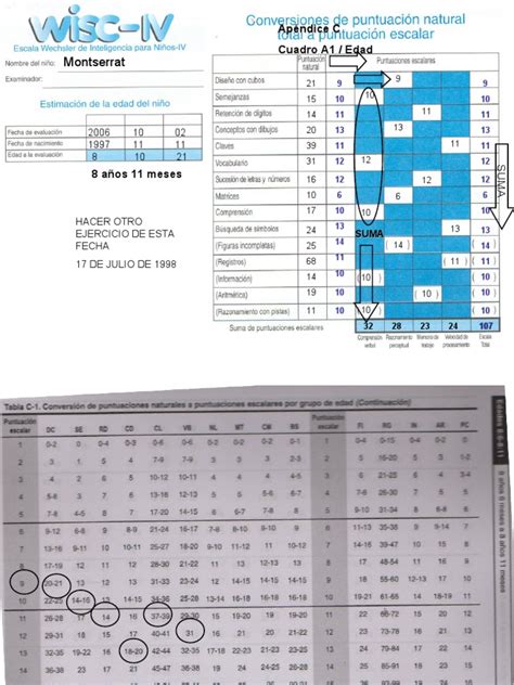 Wisc Iv Calificación 1 Pdf