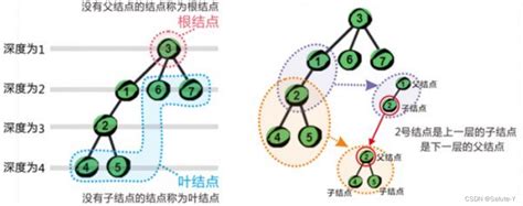 Java~数据结构(四)~二叉树(什么是树and树一些概念and二叉树and二叉树的基本操作和前中后遍历)java中树高度与深度举例说明 Csdn博客 Java~数据结构(四)~二叉树(什么是树and树一些概念and二叉树and二叉树的基本操作和前中后遍历)java中树高度与深度举例说明 Csdn博客