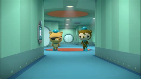 The Operation Cooperation Gallery Octonauts Wiki Fandom