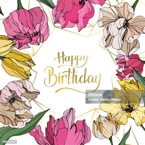 벡터 튤립 새겨진 잉크 아트입니다 꽃 식물 꽃입니다 봄 잎 야생화 고립 프레임 테두리 장식 광장입니다 꽃 식물에 대한 스톡 벡터