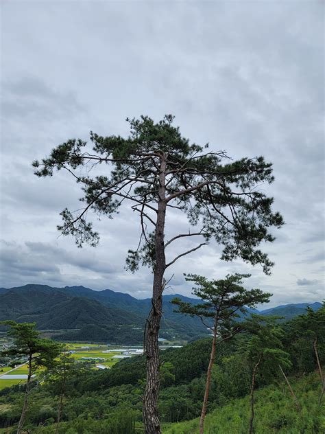 비비에 필라테스and요가 2020 11 13 금요일 퇴근일상 코로나19 시대 운동🤸‍♀️으로 면역력🆙️ 체력🆙️ 개인위생수칙 방역수칙 철저히 지키기 우리 내면과 외면의