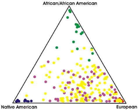 Estimation Of Admixture Using Ancestry Informative Markers Genotyping Download Scientific