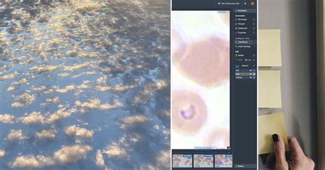 List Labelling Target Curated By Leonardo Enrique Cordero Jenkins Medium