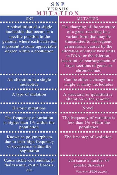 Difference Between Point Mutation And Frameshift Mutation Definition Types Features Diseases