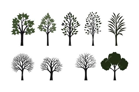 Premium Vector Set Of Tree Vector In Simple Style Isolated On White Background