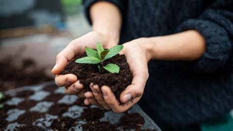 Полнолуние в апреле 2025 года когда будет и сколько продлится Розовая Луна