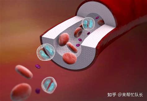 高钾血症和哪些因素有关？ 知乎