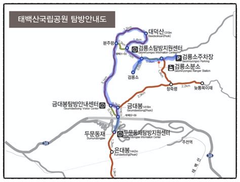 태백산 금대봉 대덕산 등산코스 두문동재 검룡소 야생화 트레킹 산행 예약 방법 네이버 블로그