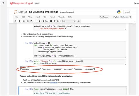 Problem Using Jupyter Notebook For Understanding And Applying Text