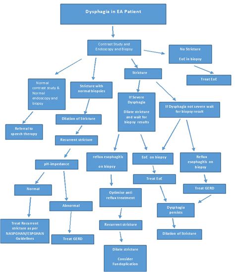 Algorithm For Investigation And Treatment Of Dysphagia In A EA Patient Download Scientific