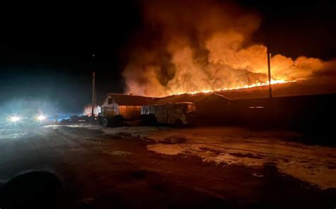 Обстріли Донеччини за добу 7 людей загинули і 11 отримали поранення портал новин Lb Ua