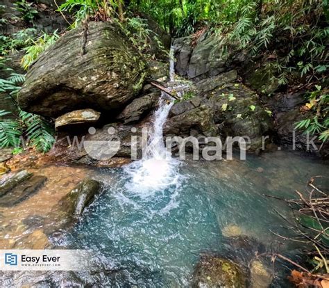 Land For Sale Nittambuwa Ikman