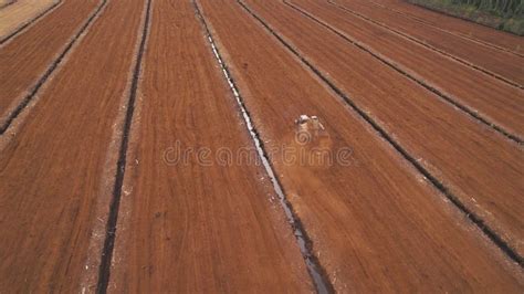 Peat Harvester Tractor On Collecting Extracting Peat Mining And Harvesting Peatland Stock Video