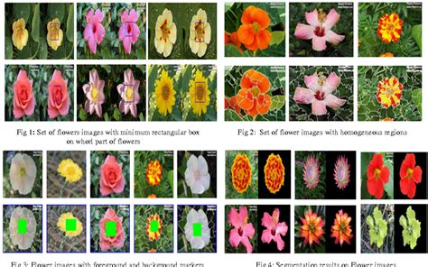 Figure 1 From Classification Of Flowers A Symbolic Approach Y H