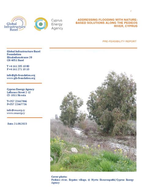 Addressing Flooding With Nature Based Solutions Pdf Flood Infrastructure