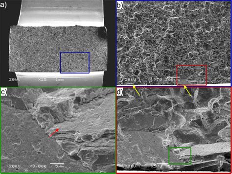 Sem Picture Of The Fatigue Fracture Surface Of Specimen 8 Download