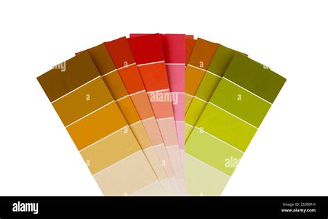 Plastic Color Swatch On White Background Isolated Plastic Color Swatch