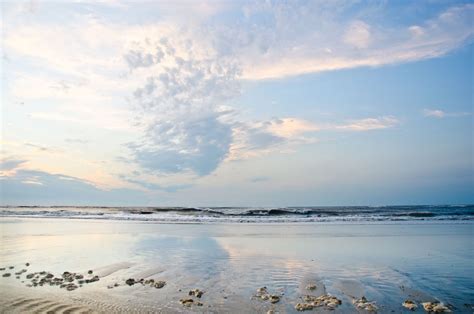 The Apogee Gnostic Muse