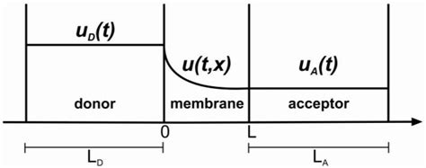 A Schematic Diagram Of The Mathematical Model Download Scientific Diagram