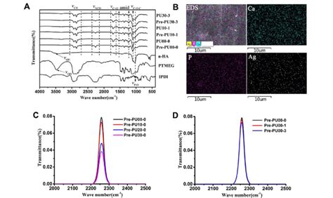 A Ftir Spectra Of Ipdi Ptmeg N Ha Pre Pus And Pus Cured For 24 H At