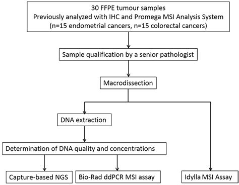 Study Workflow Ddpcr Droplet Digital Pcr Ffpe Formalin Fixed