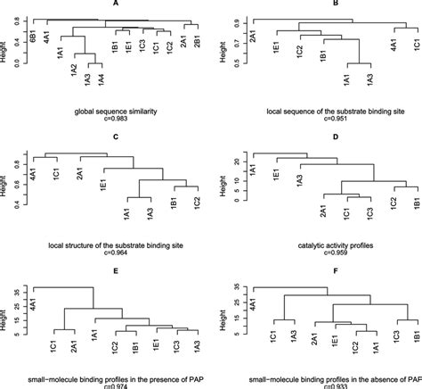Average Linkage Hierarchical Clustering Of Sults Clustering Is Shown