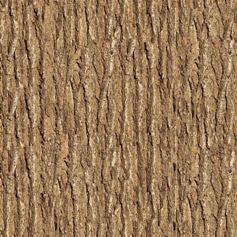 The Incredible Versatility Of Tree Bark