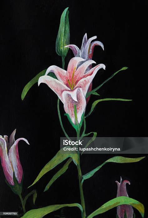 유행 여름 그림 현대 삽화 우화 기호 내 원래 장식 유화 캔버스 수직 정 물 꽃 화이트 릴리 꽃 분기 꽃 줄기와 잎 새싹