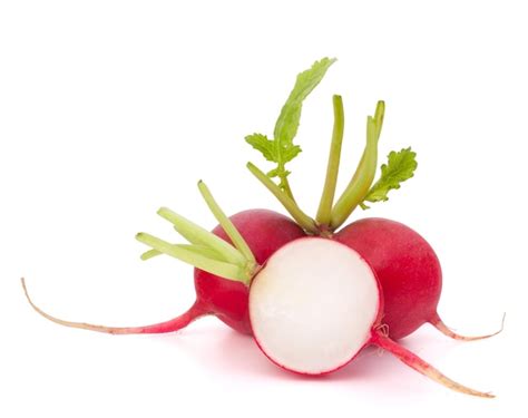 Premium Photo Small Garden Radish