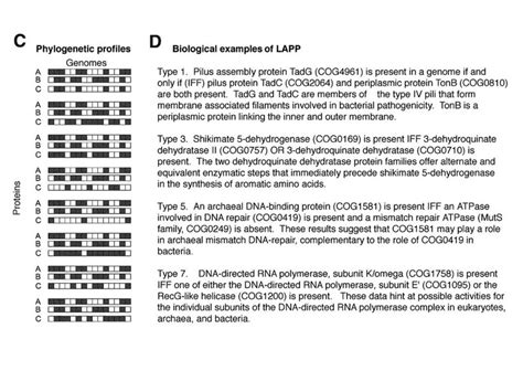 CISC 841 Bioinformatics Spring 2006 Inference Of Biological Networks