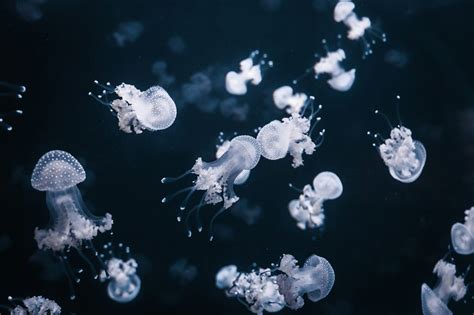 🥺💗beautiful Kaneez Fatima Medium